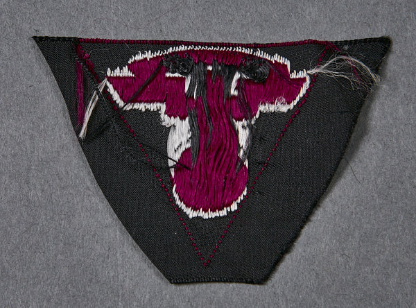 Third Reich NSKK Cap Triangle – The Ruptured Duck, LLC